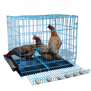 Portable Chicken Cage : Essential Solutions for Modern Poultry Keeping ...